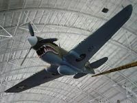 Curtiss P-40 Survivors | Warbirds Wiki | Fandom