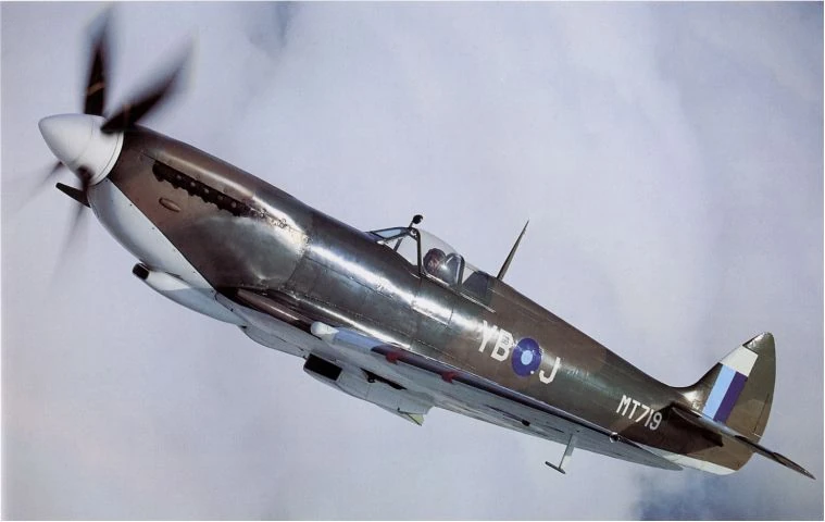 Spitfire Mk VIII (MT719) | Warbirds Wiki | Fandom