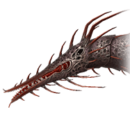 Kullecid - War Dragons Wiki
