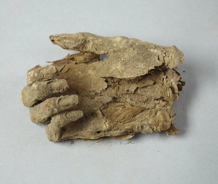 Tyr's Right Hand | Warehouse 13 Artifact Database Wiki | Fandom