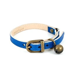 Erwin Schrödinger’s Cat Collar | Warehouse 13 Artifact Database Wiki ...