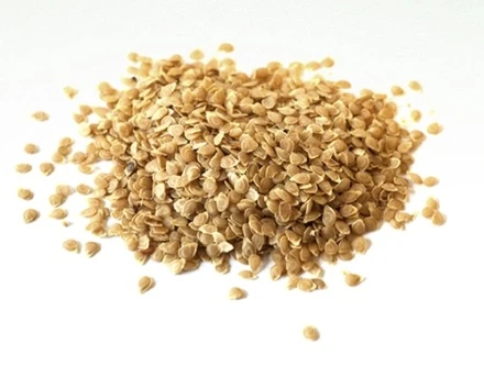 Eva Ekeblad's Potato Seeds | Warehouse 13 Artifact Database Wiki | Fandom