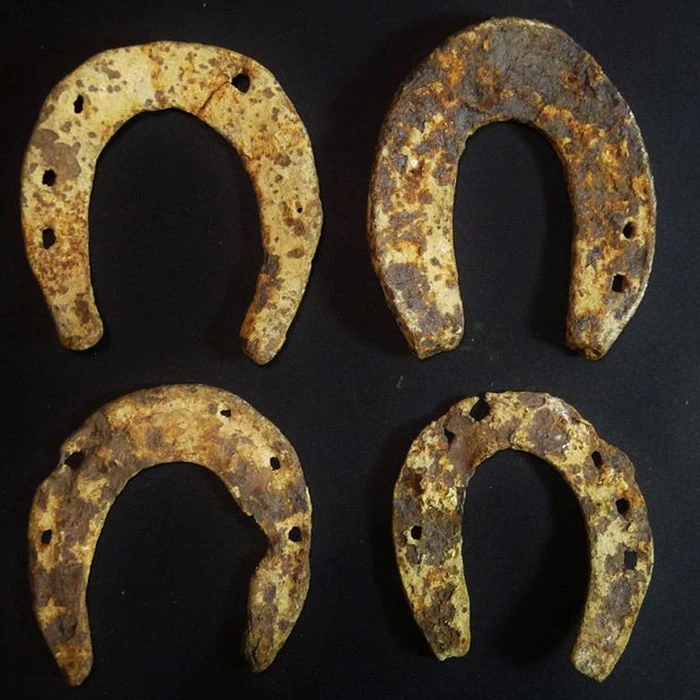 Horseshoes from the Execution of François Ravaillac | Warehouse 13 ...