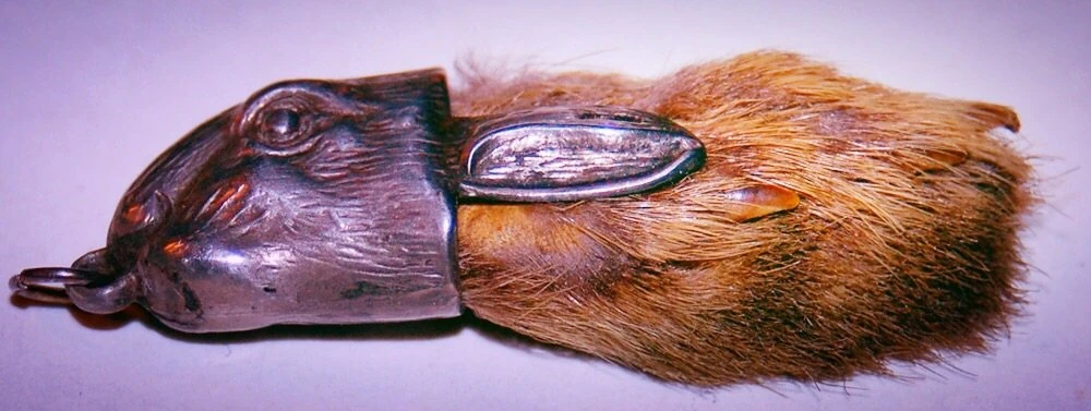 Frederick Banting's Rabbit Foot | Warehouse 13 Artifact Database Wiki ...