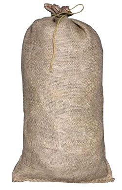 Sogdianus of Persia's Bag of Ash | Warehouse 13 Artifact Database Wiki ...