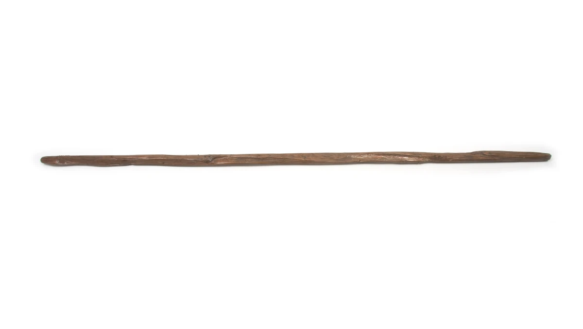 Aaron's Rod | Warehouse 13 Artifact Database Wiki | Fandom