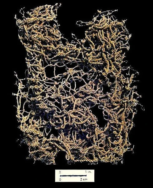 Hugo Weigold's Net | Warehouse 13 Artifact Database Wiki | Fandom