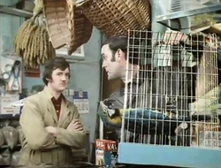 Dead Norwegian Blue | Warehouse 13 Artifact Database Wiki | Fandom