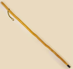 Alice Manfield’s Trekking Pole | Warehouse 13 Artifact Database Wiki ...