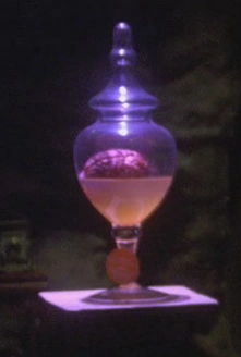 Abby Normal's Brain | Warehouse 13 Artifact Database Wiki | Fandom