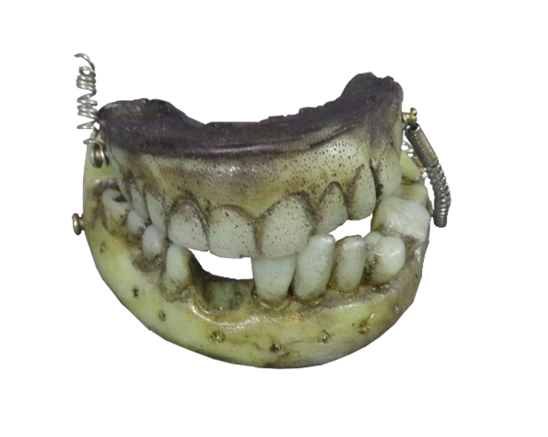 George Washington's Teeth | Warehouse 13 Artifact Database Wiki | Fandom