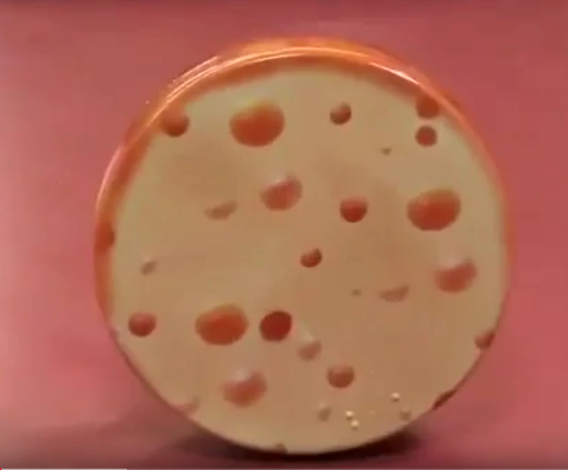 P. T. Selbit's Cheese Wheel | Warehouse 13 Artifact Database Wiki | Fandom