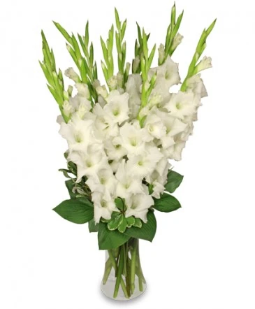 Frank Neuhauser's Bouquet of Gladiolus | Warehouse 13 Artifact Database ...