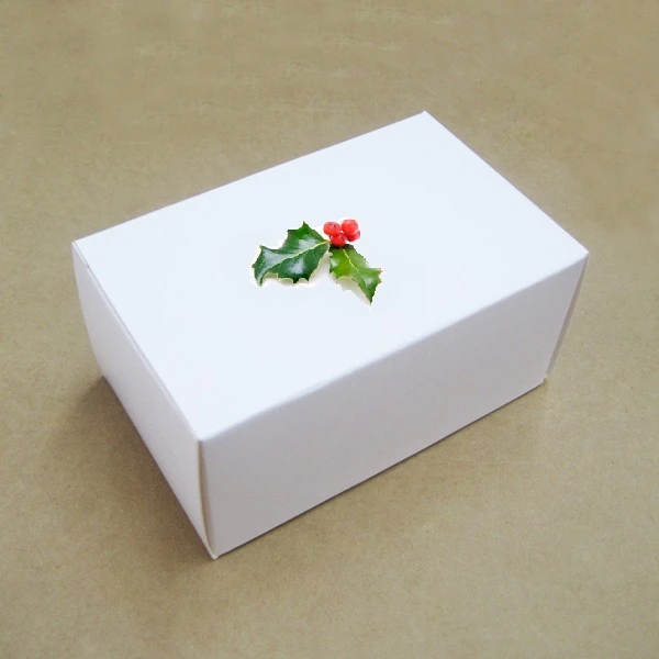 Dream Present | Warehouse 13 Artifact Database Wiki | Fandom