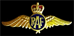 Charles Portal's RAF Pin | Warehouse 13 Artifact Database Wiki | Fandom