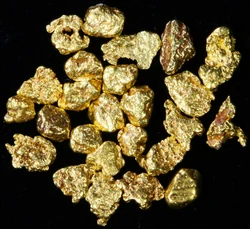 Conrad Reed's Gold Nuggets | Warehouse 13 Artifact Database Wiki | Fandom