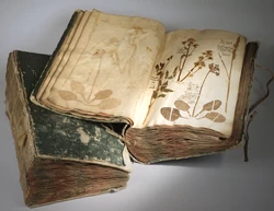 Leonhard Rauwolf’s Herbarium | Warehouse 13 Artifact Database Wiki | Fandom