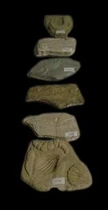 Johann Bartholomaeus Adam Beringer's Lying Stones | Warehouse 13 ...