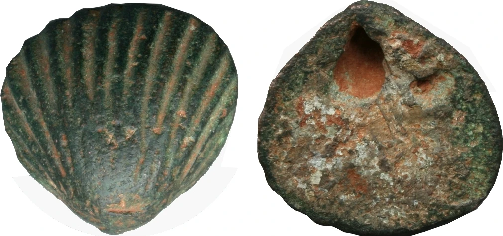 Sedna's Seashell | Warehouse 13 Artifact Database Wiki | Fandom