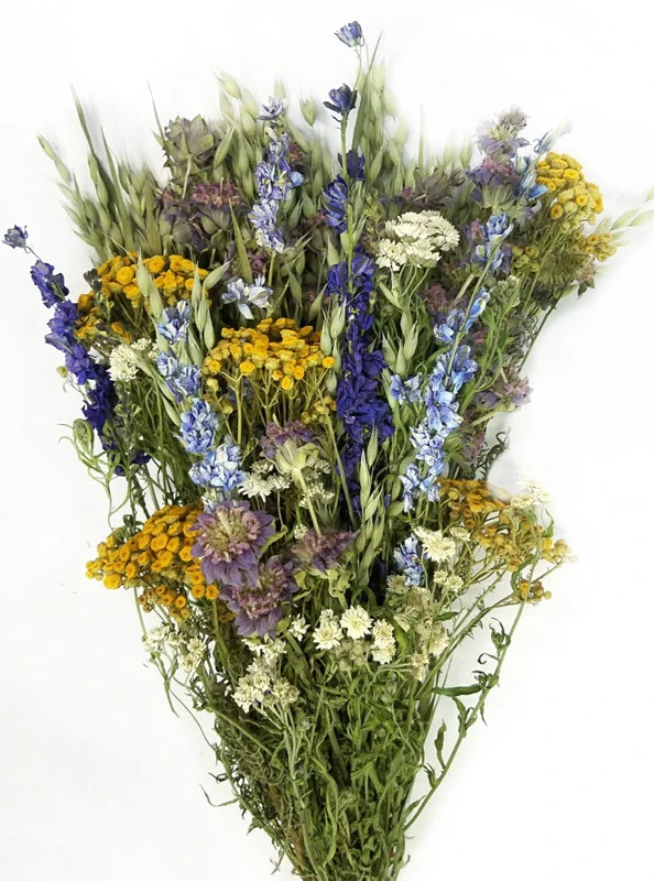 Demeter's Bouquet | Warehouse 13 Artifact Database Wiki | Fandom