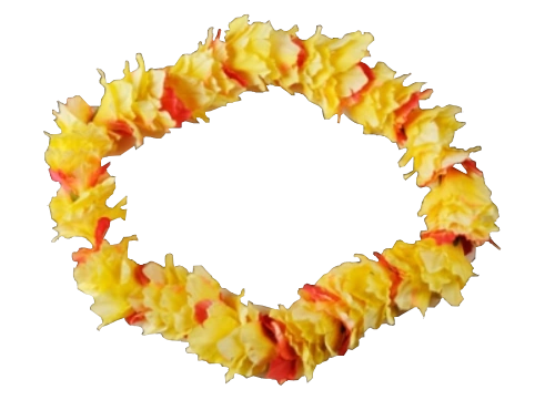 King Kamehameha's Hawaiian Lei | Warehouse 13 Wiki | Fandom