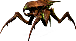 Swarm/Enemies | Warface Wiki | Fandom