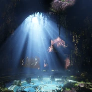 Acrithis | WARFRAME Wiki | Fandom