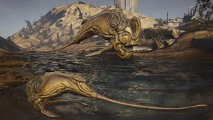 Devstream 96 | WARFRAME Wiki | Fandom