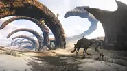 Kaithe | WARFRAME Wiki | Fandom
