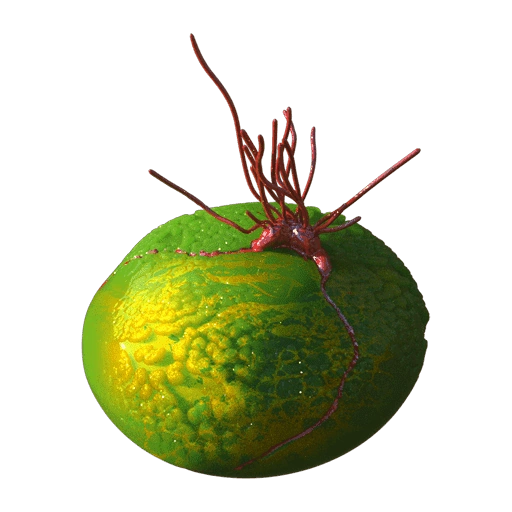 Depósito de sebum de cera | Wiki Warframe Español | Fandom