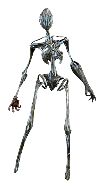 How To Get Xaku Farming Guide Warframe Wiki
