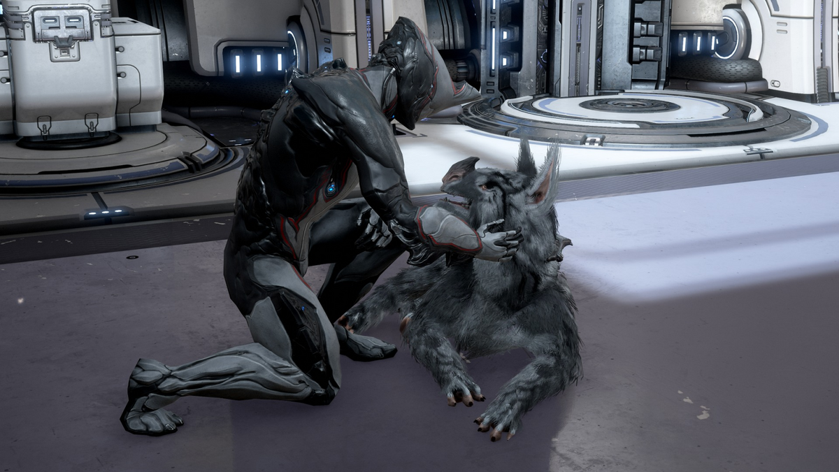 Супутники Вікі Warframe Fandom