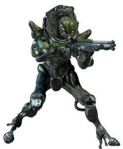 Le Trio Grustrag | Wiki Warframe | Fandom