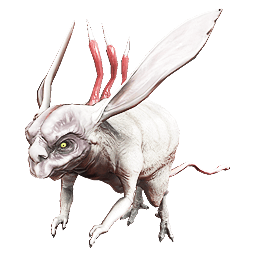 Kuaka pálida | Wiki Warframe Español | Fandom