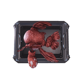 Norg | WARFRAME Wiki | Fandom