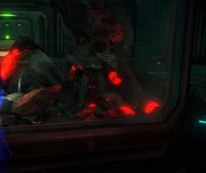 Suspicious Shipments | WARFRAME Wiki | Fandom