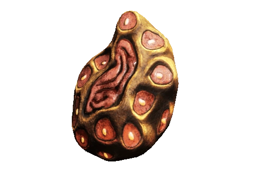 Grzyb Gorgaricus | Warframe Wiki | Fandom