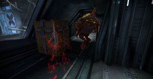 Infested Ship | WARFRAME Wiki | Fandom