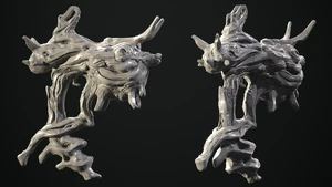 Zymos | WARFRAME Wiki | Fandom