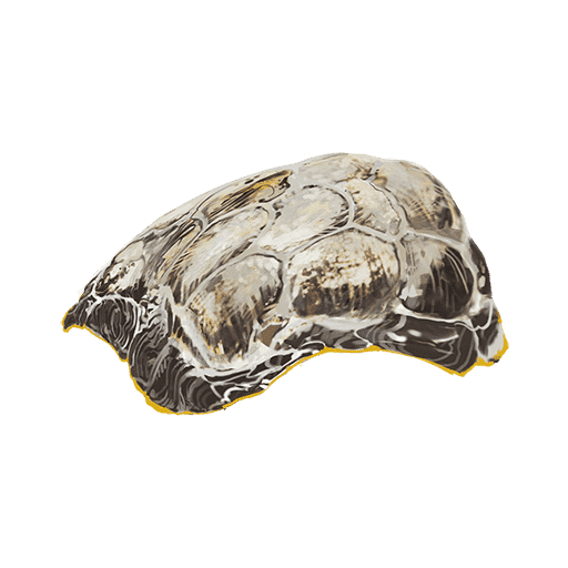 Seram Beetle Shell | WARFRAME Wiki | Fandom