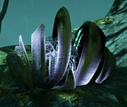 Rune Marrow | WARFRAME Wiki | Fandom