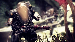 Nox | WARFRAME Wiki | Fandom