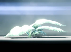 Frostleaf | WARFRAME Wiki | Fandom