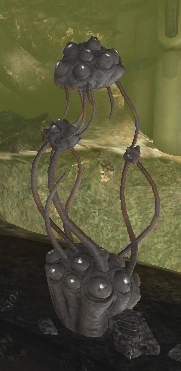 Extrait de Tasoma | Wiki Warframe | Fandom