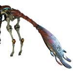 Kaithe | WARFRAME Wiki | Fandom