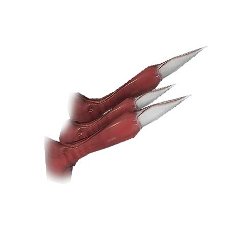 Pazur Grzbietowy Kuaki | Warframe Wiki | Fandom