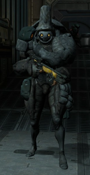 Commander | WARFRAME Wiki | Fandom