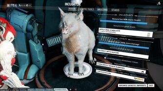 Kubrow/Gallery | WARFRAME Wiki | Fandom