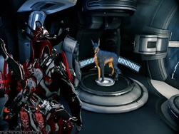 Kubrow/Gallery | WARFRAME Wiki | Fandom