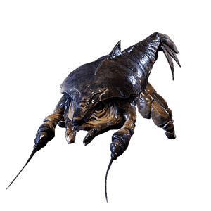 Fishing | WARFRAME Wiki | Fandom